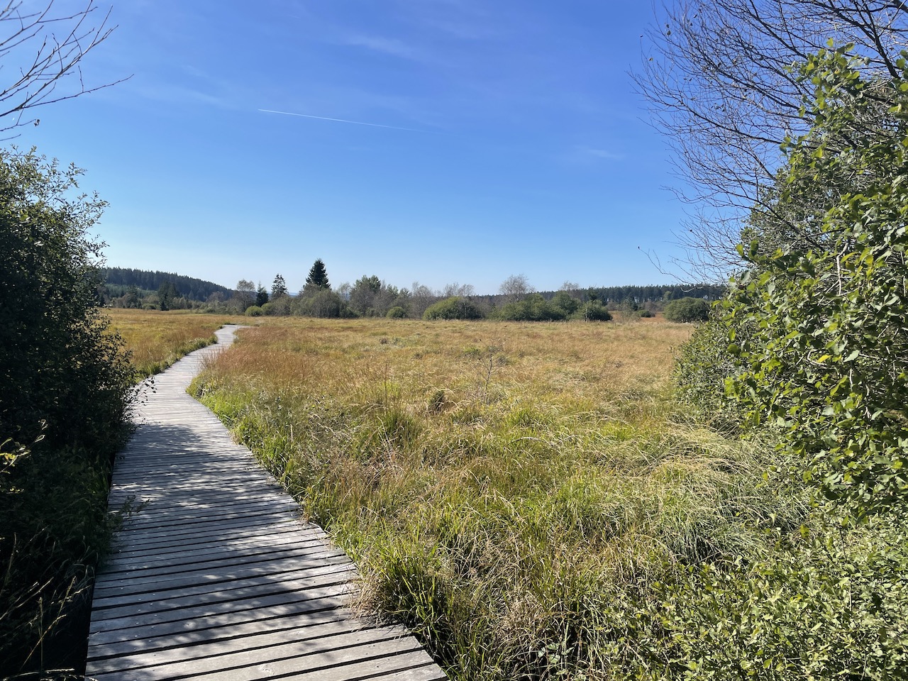 Hautes Fagnes - L’office du tourisme de Xhoffraix